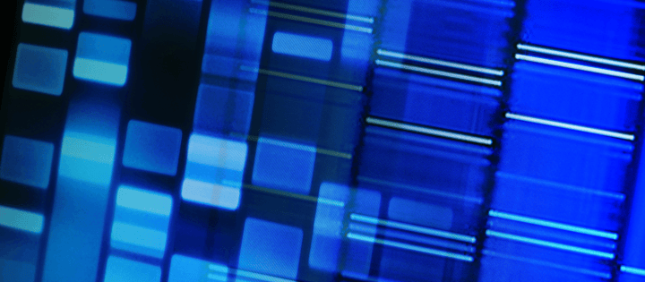 IPU delivers 10X acceleration for DNA and protein sequence alignment